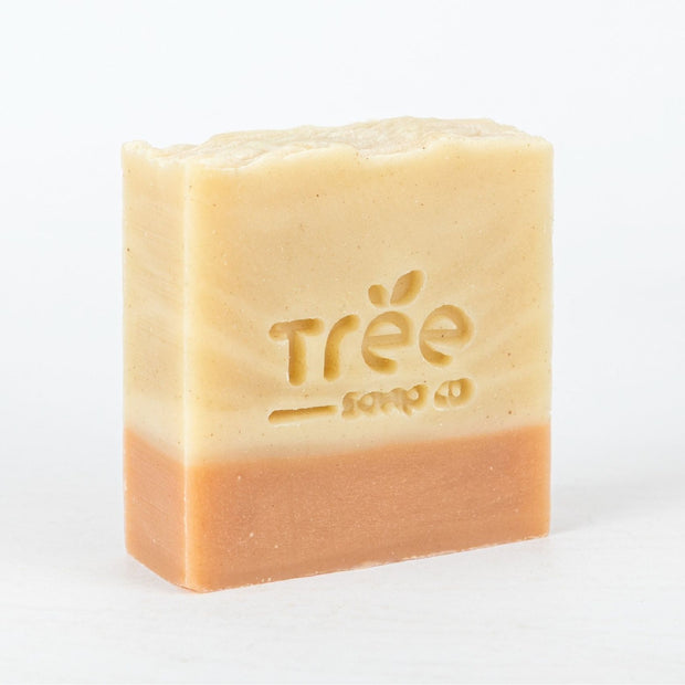Fresh Leaf Birch – Tree Soap Company